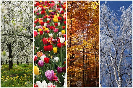 Four seasons stock image. Image of landscape, fall, february - 23188099