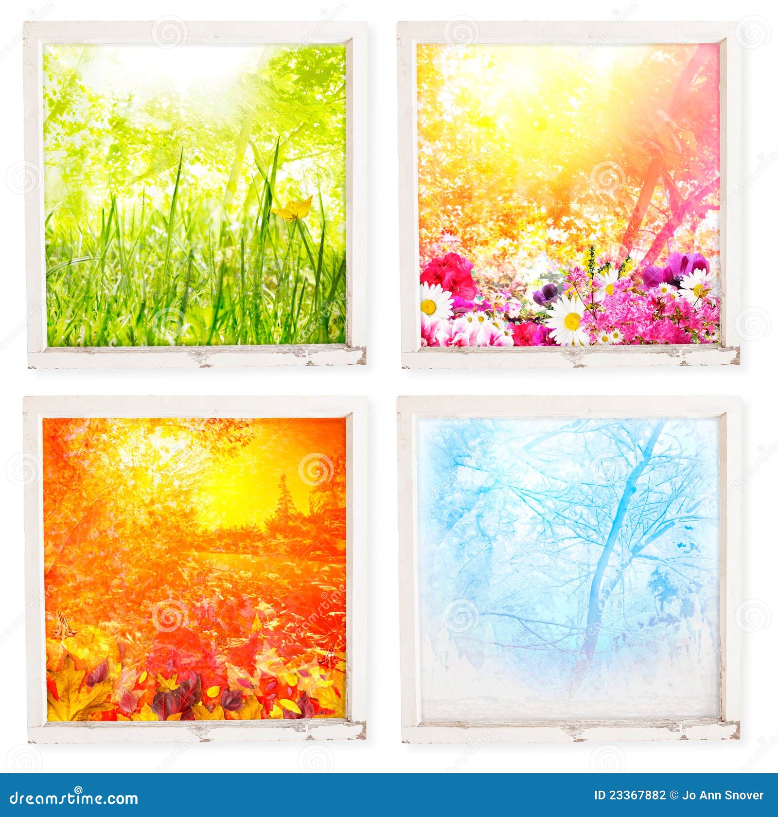 Four seasons stock photo. Image of scenic, green, nature - 23367882