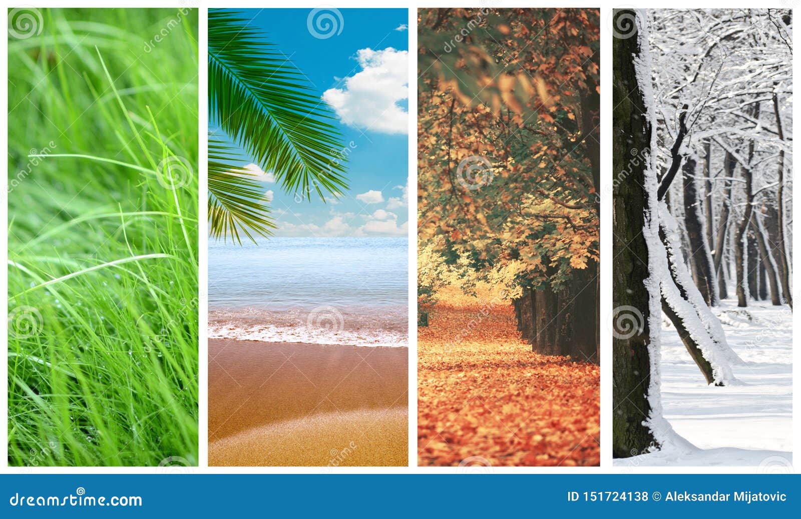 Four seasons collage stock photo. Image of time, fall - 151724138
