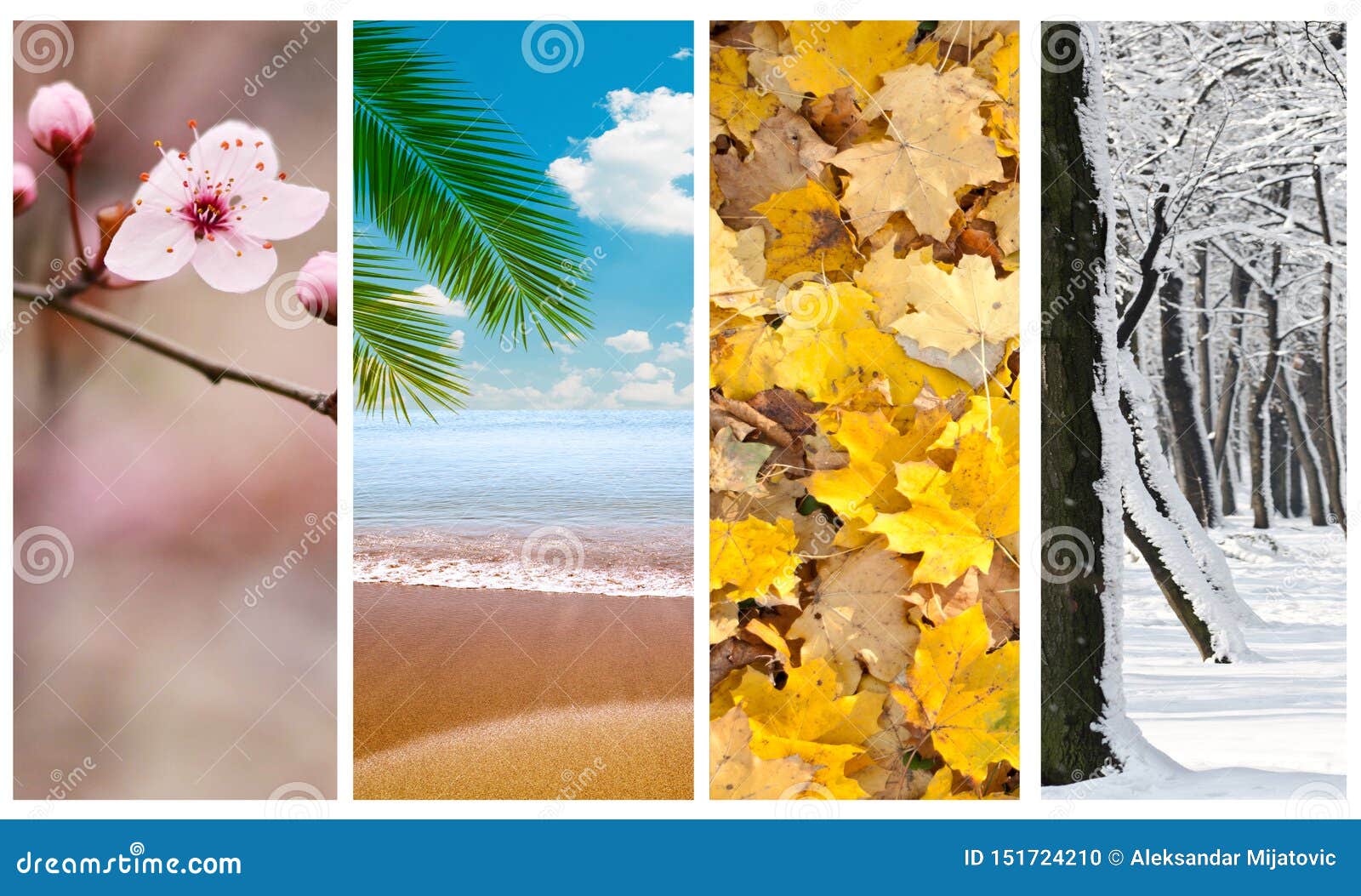Four seasons collage stock photo. Image of seasonal - 151724210
