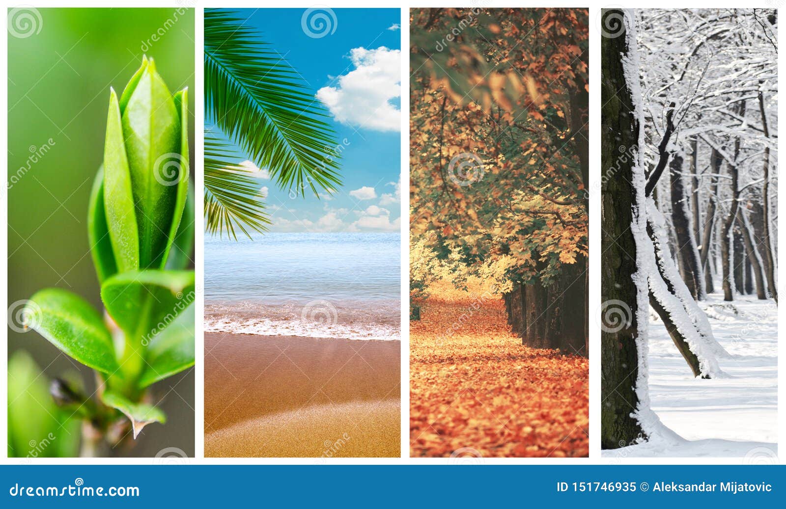 Four seasons collage stock image. Image of tree, four - 151746935