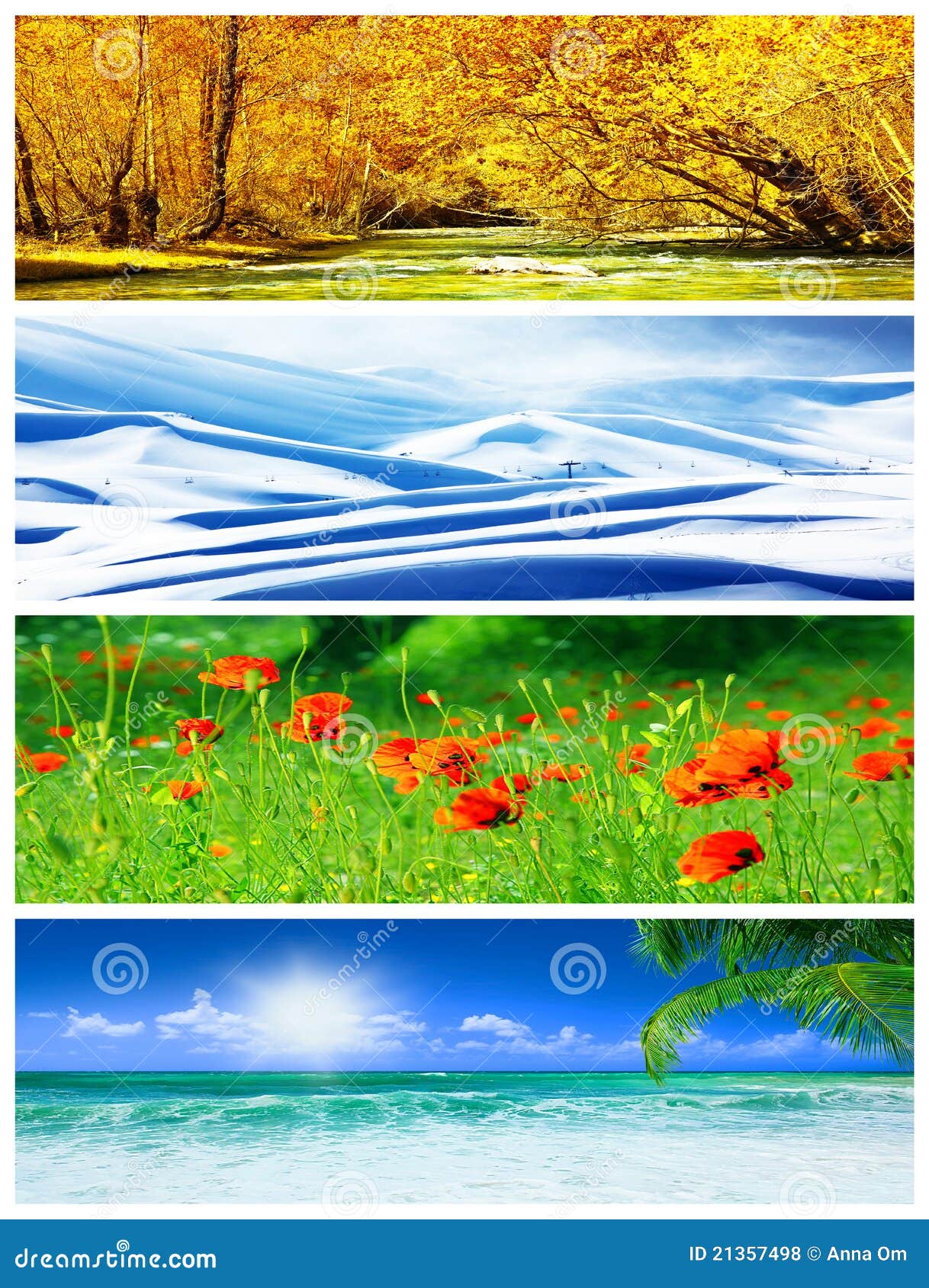 Four seasons collage stock photo. Image of flower, banner - 21357498