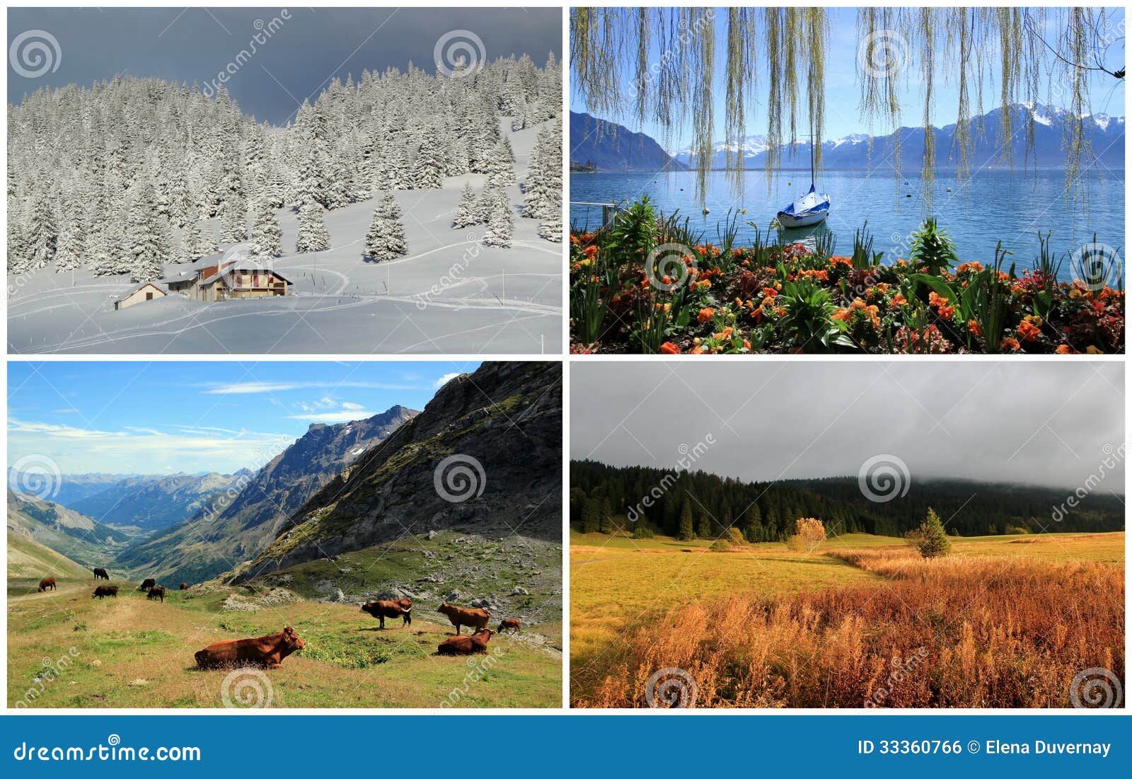 Four seasons collage stock photo. Image of green, bloom - 33360766