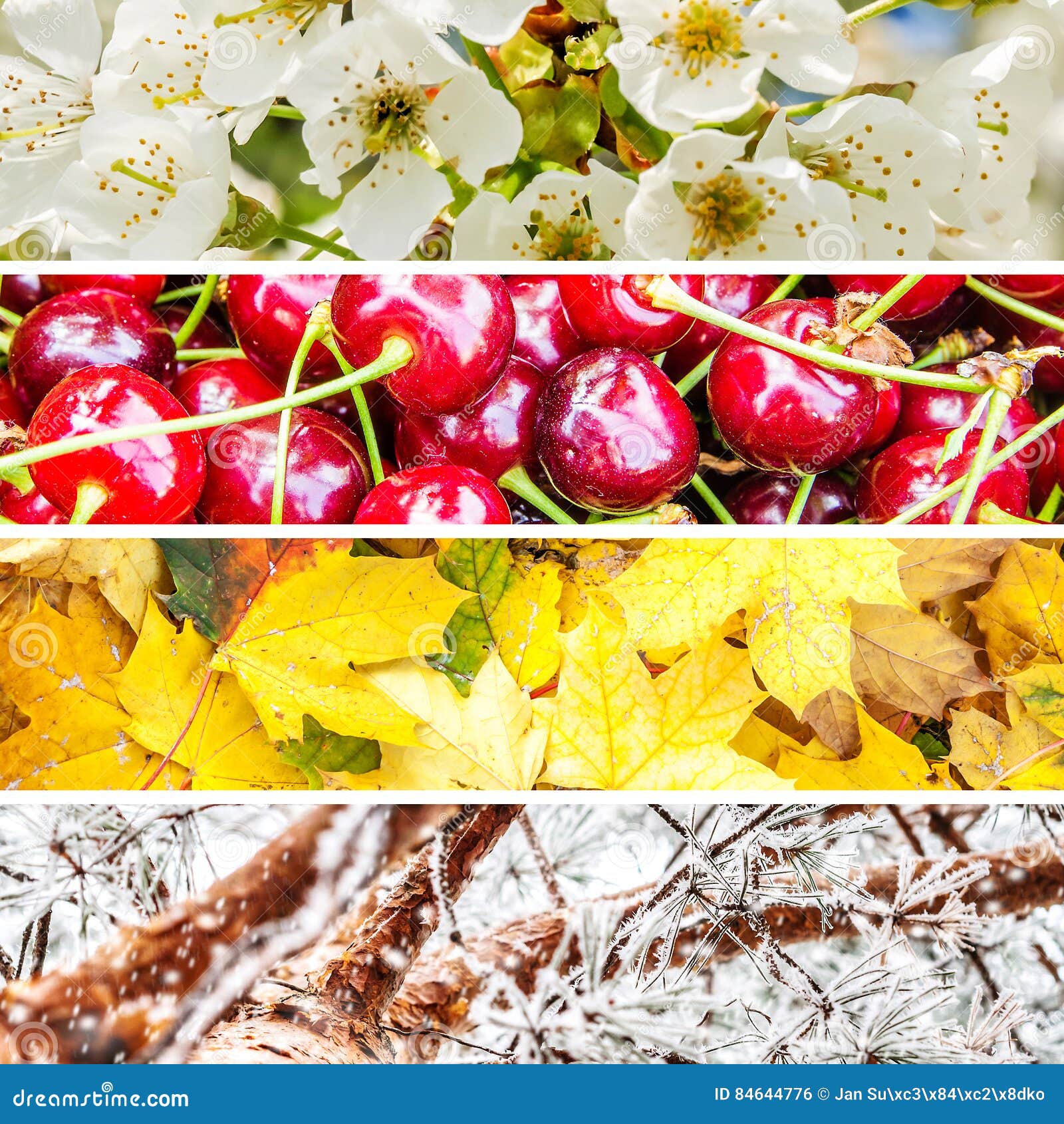 Four seasons collage stock photo. Image of season, seasonal - 84644776