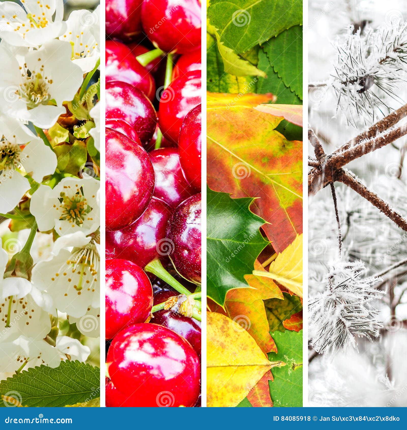 Four seasons collage stock photo. Image of change, collage - 84085918