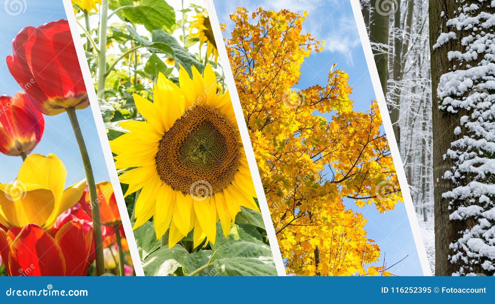 35,728 Flower Seasons Stock Photos - Free & Royalty-Free Stock Photos ...
