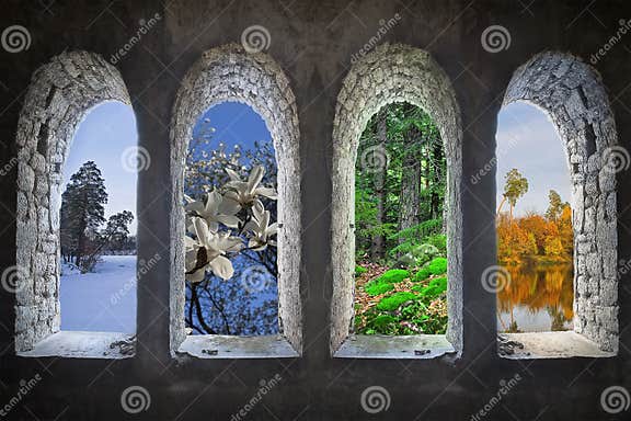 Four seasons stock photo. Image of change, green, seasons - 62196860