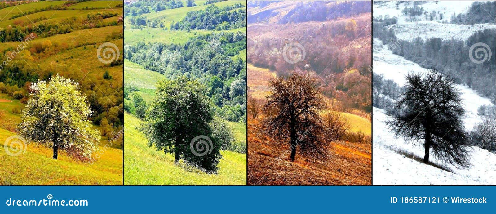 Four Seasons in the Same Place Stock Image - Image of beautiful, travel ...