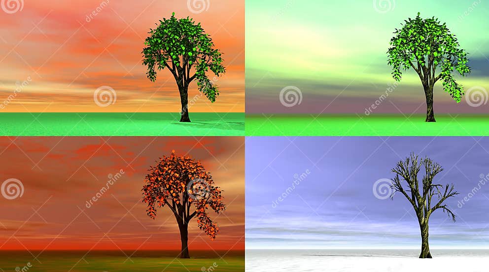Four seasons tree stock illustration. Illustration of grass - 11844552