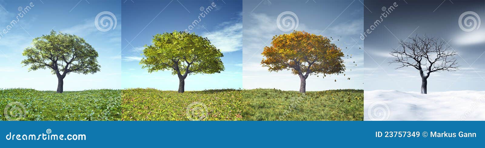 Four seasons tree stock illustration. Illustration of four - 23757349