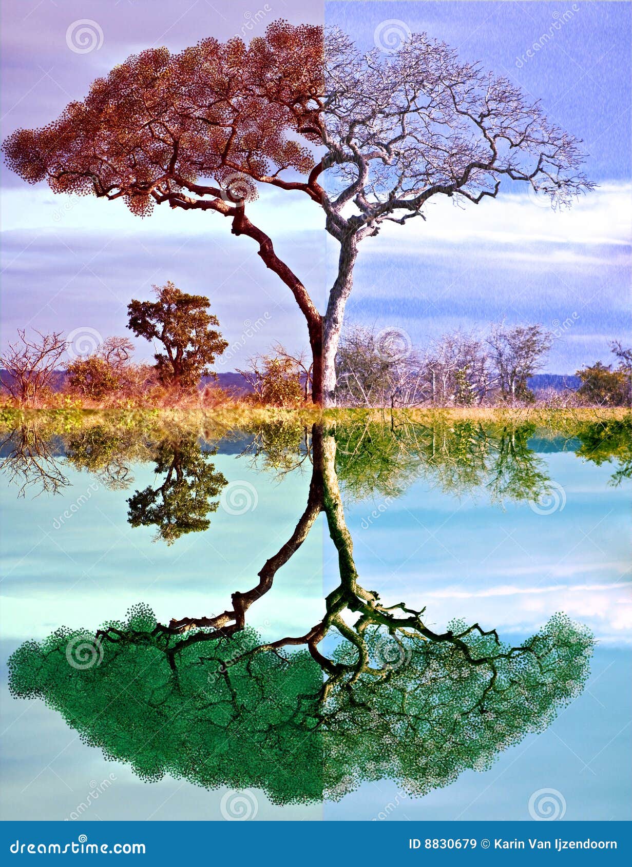 Four seasons tree stock image. Image of concept, seasons - 8830679