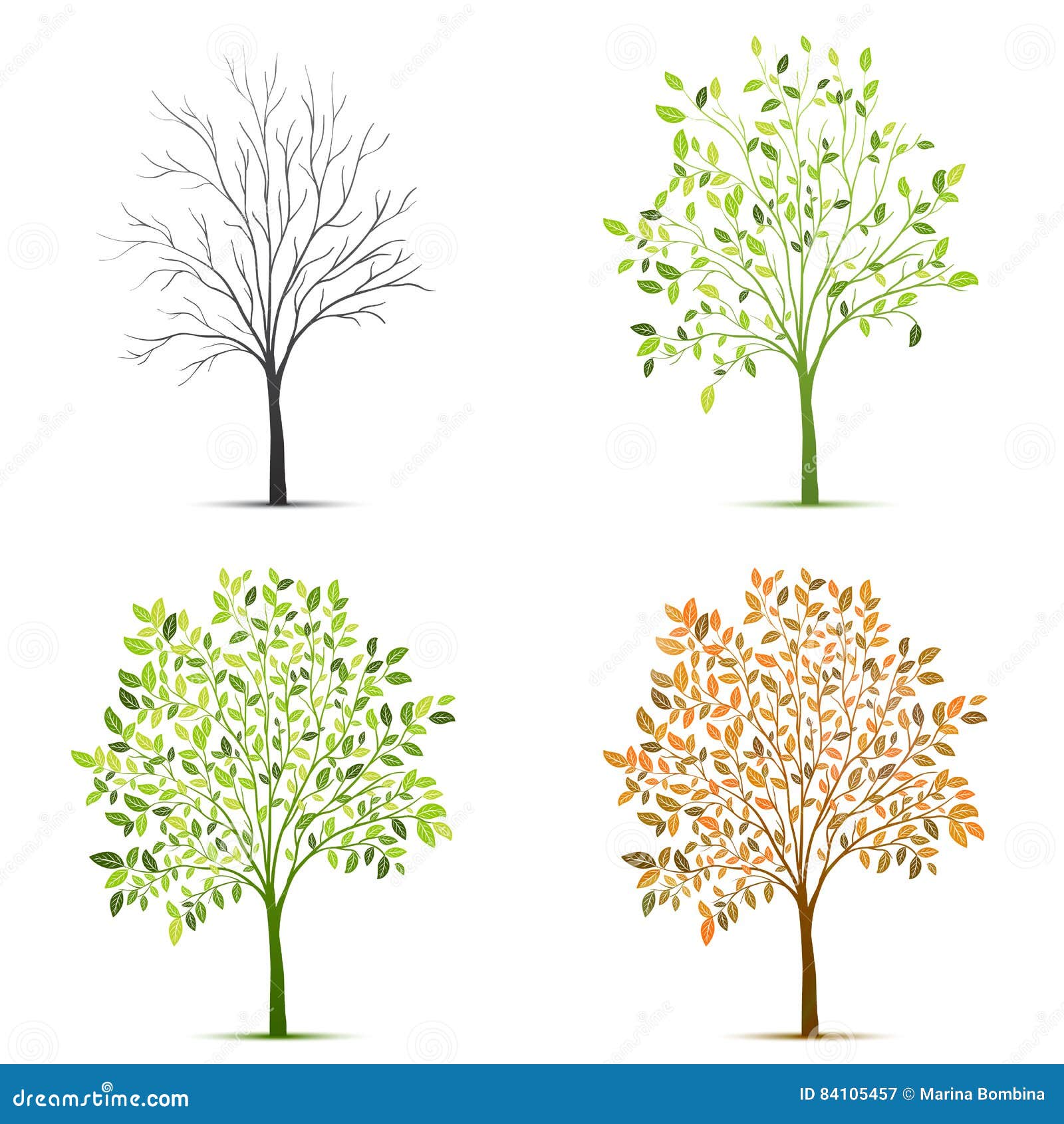 Four Seasons of Tree Vector Stock Vector - Illustration of tree, green ...