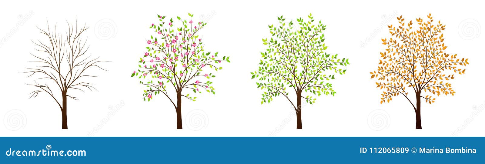 Four Seasons of Tree Vector Stock Vector - Illustration of spring ...