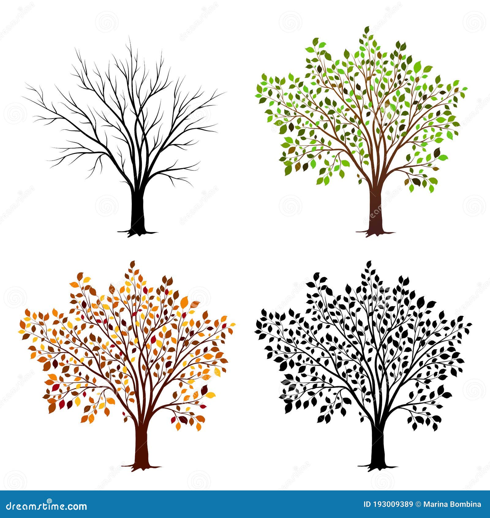 Four Seasons of Tree. Vector Illustration Stock Vector - Illustration ...