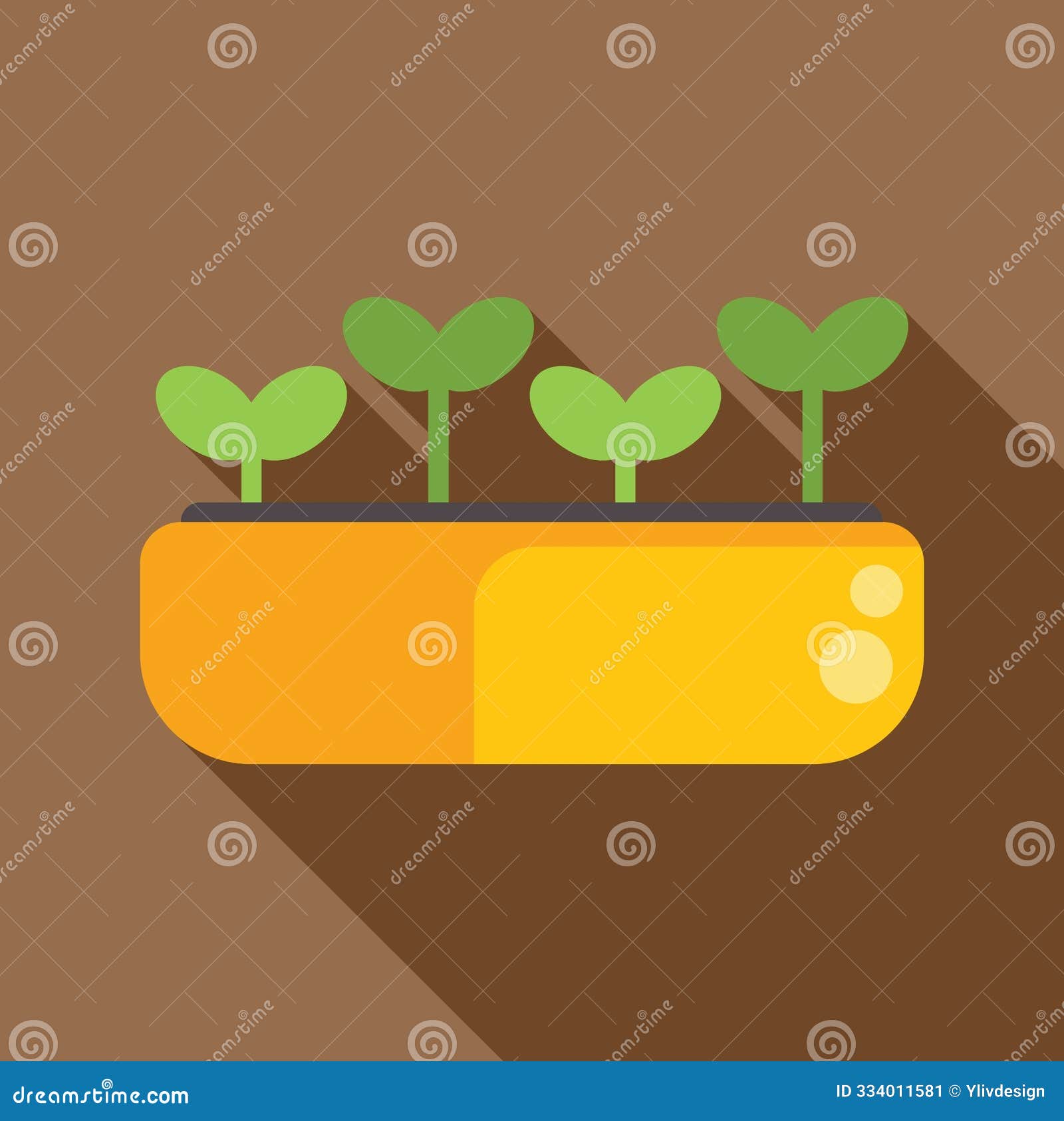 Four Seedlings Growing in Rectangular Pot with Long Shadow Stock ...
