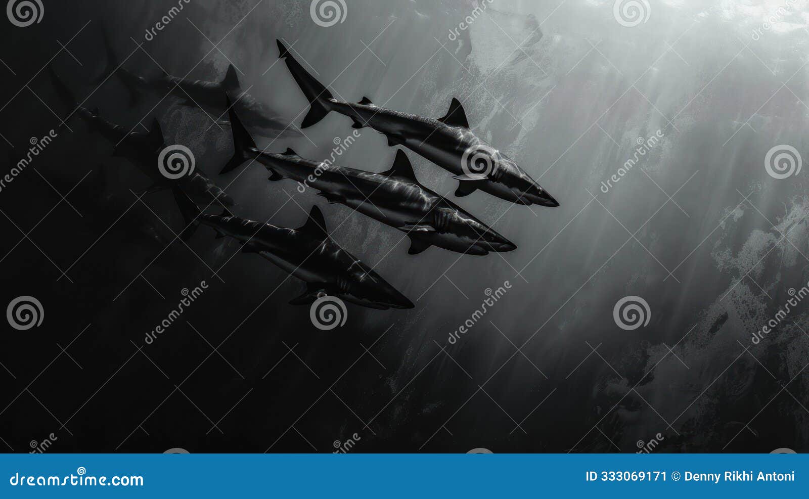 Four Sharks Swimming in a Dark and Cloudy Water Stock Illustration ...