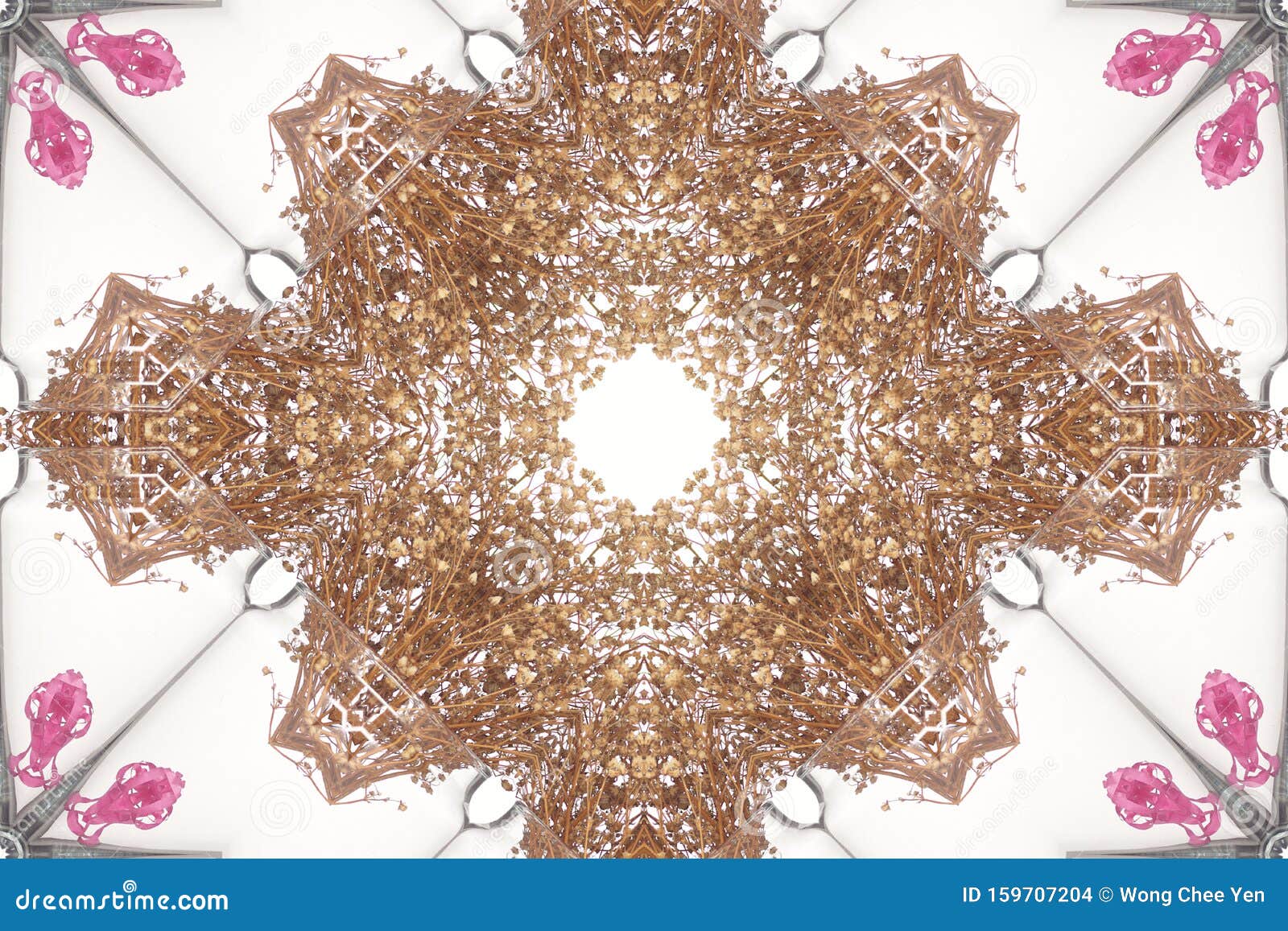 Four Side Dried Floral Design Pattern on White Stock Photo - Image of ...