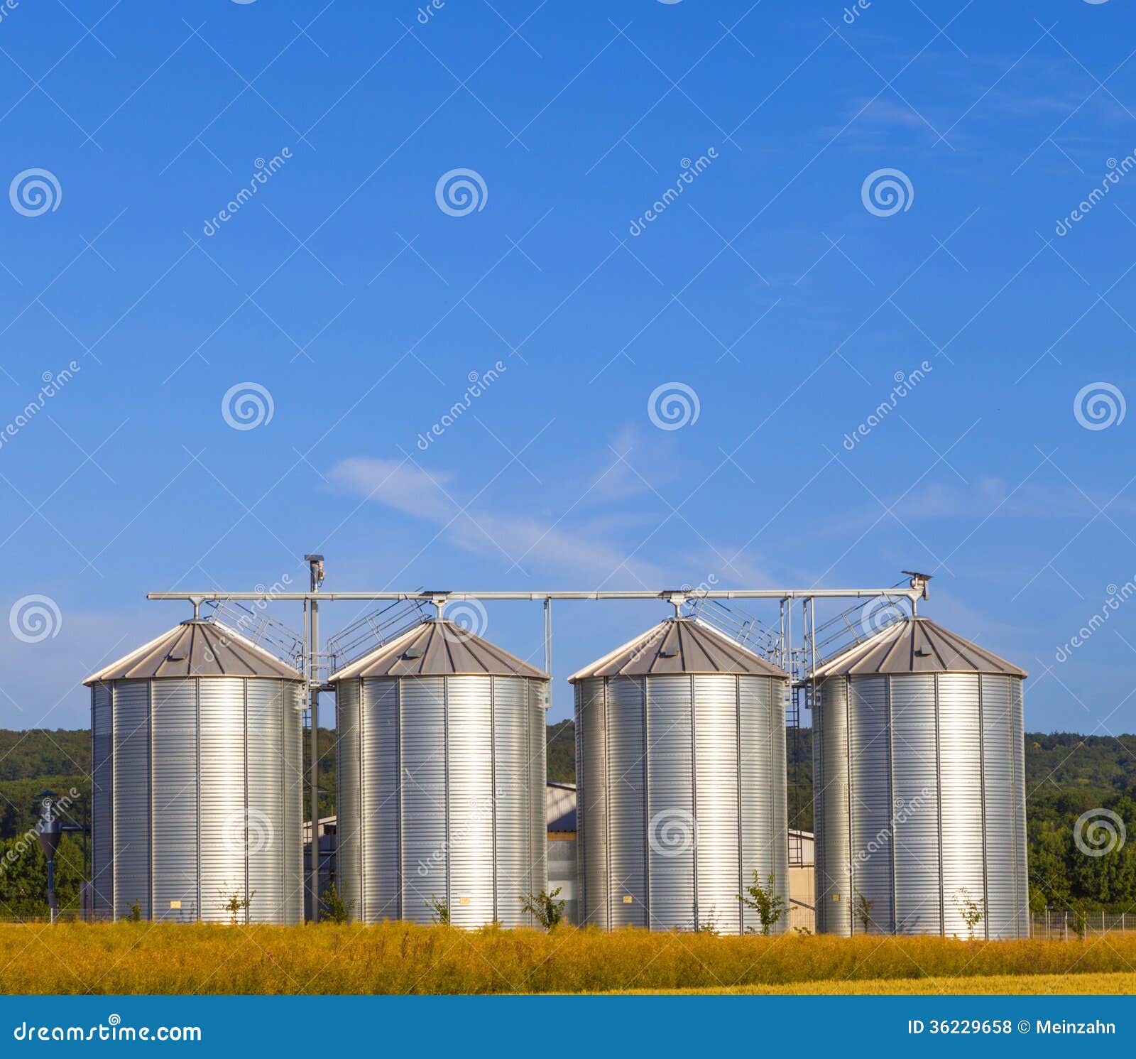 Four silver silos stock photo. Image of nature, field - 36229658