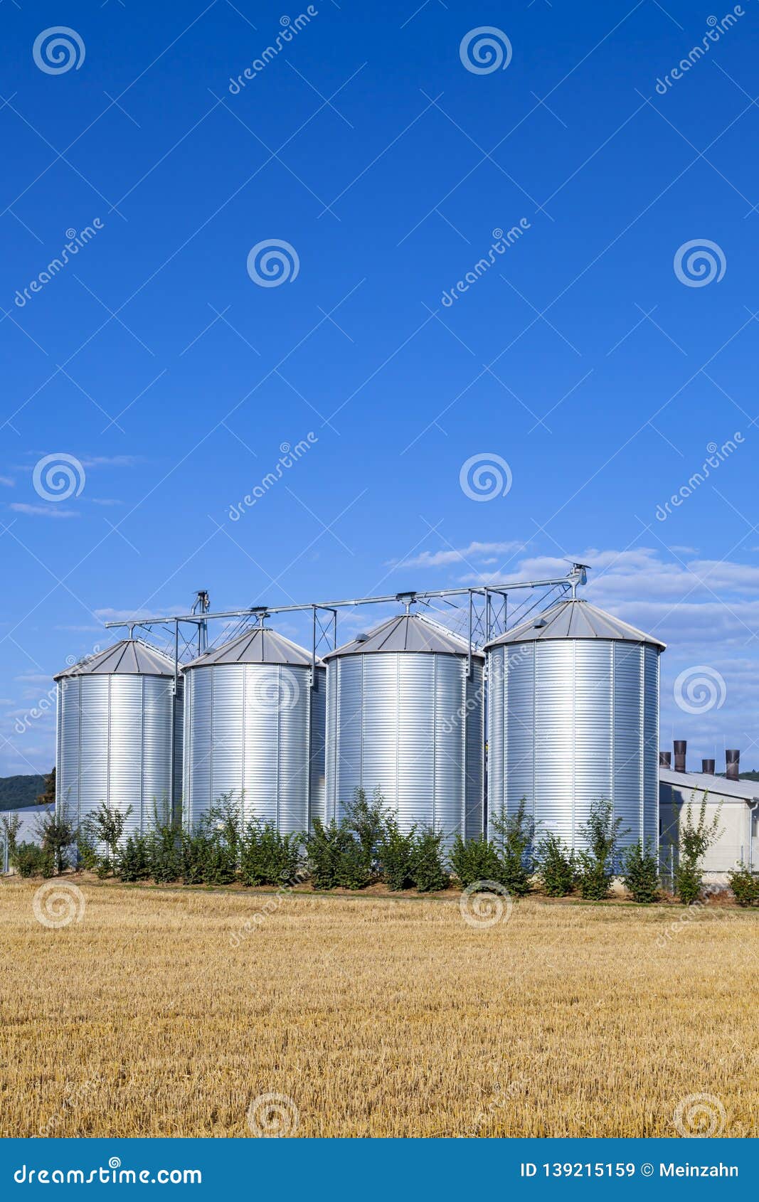 Four Silver Silos in the Field after the Harvest Stock Image - Image of ...