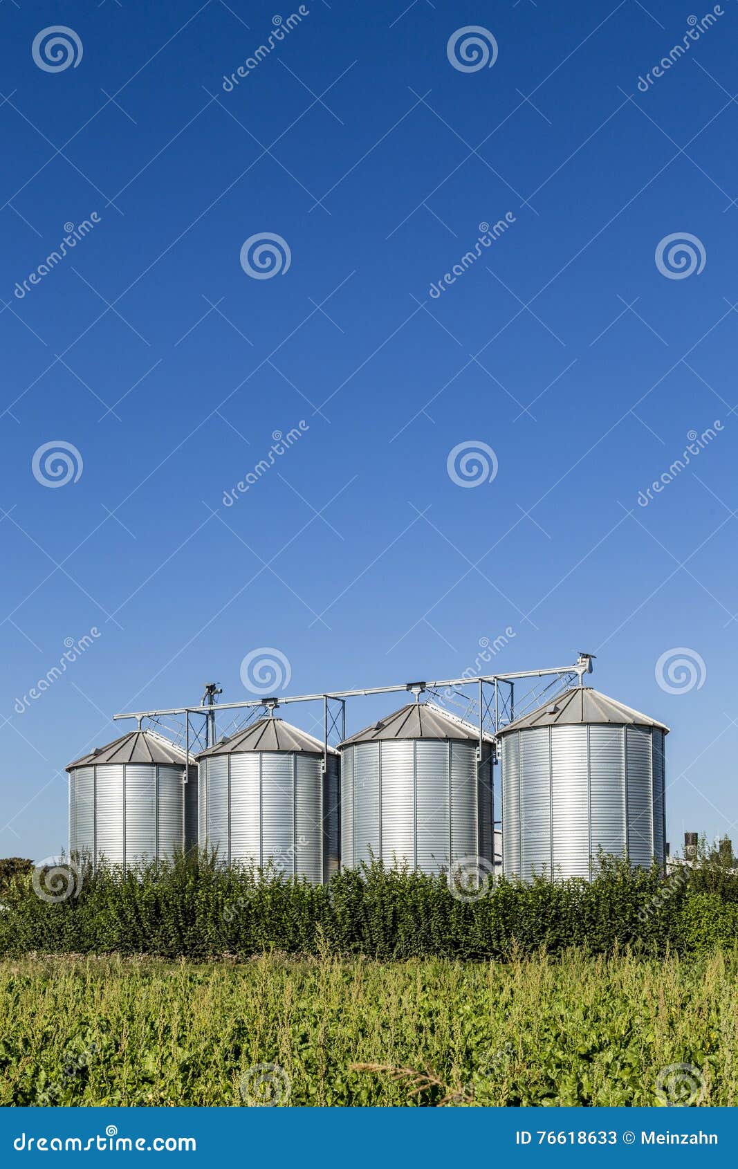 Four Silver Silos in Field Under Blue Sky Stock Image - Image of metal ...