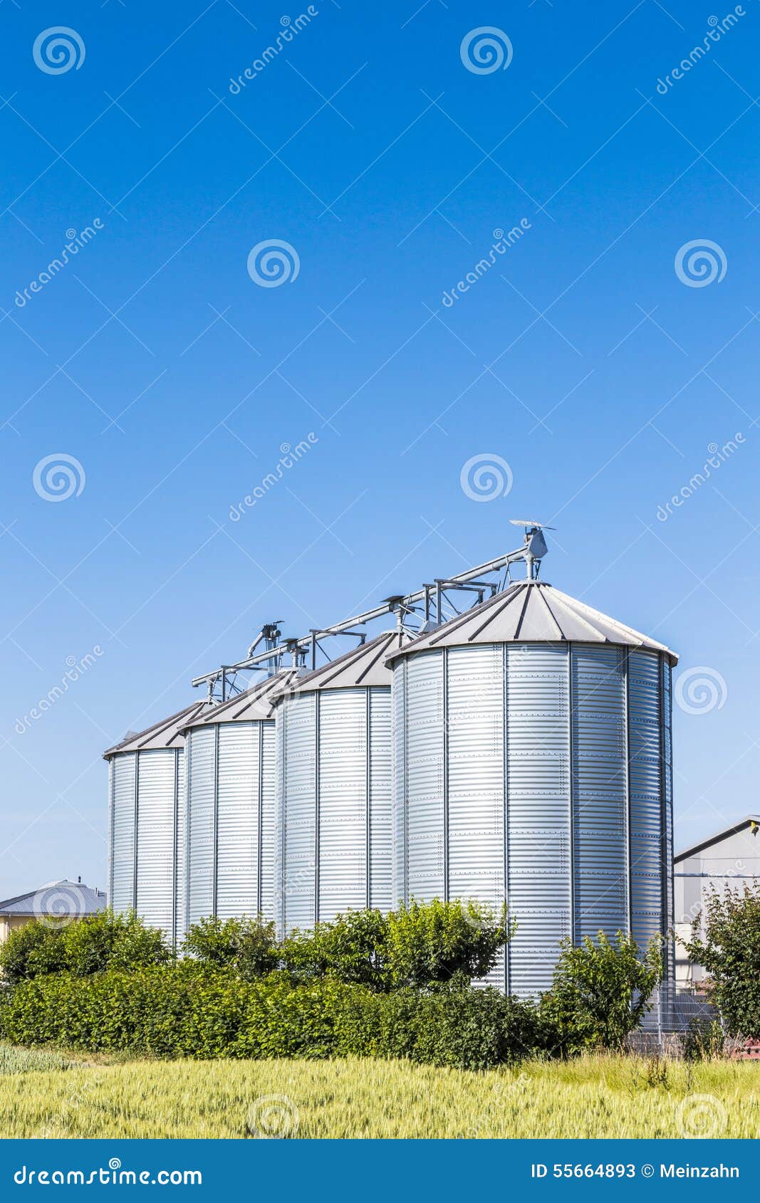 Four Silver Silos in Field Under Bright Sky Stock Image - Image of ...