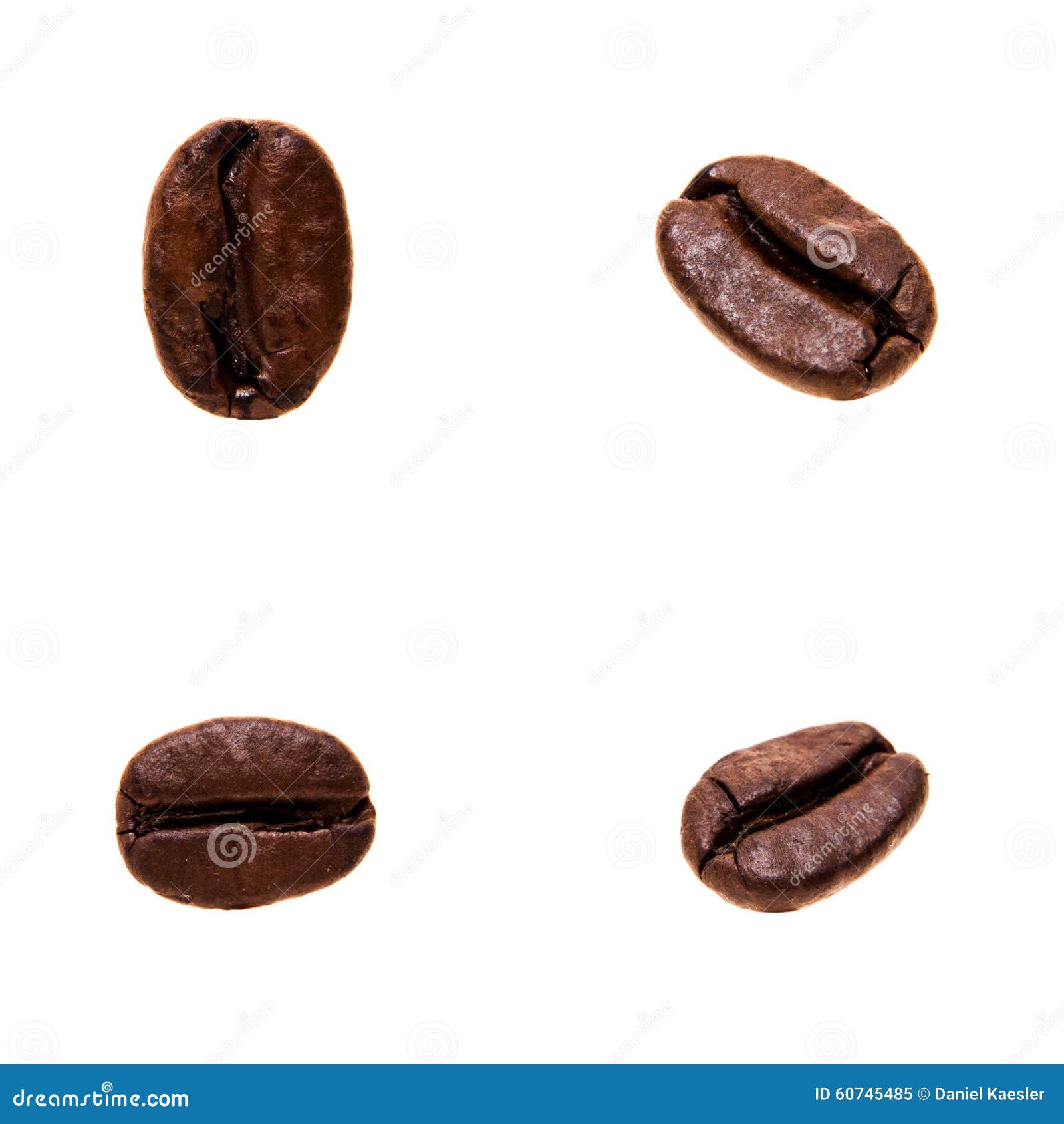 Four single coffee beans stock image. Image of background - 60745485