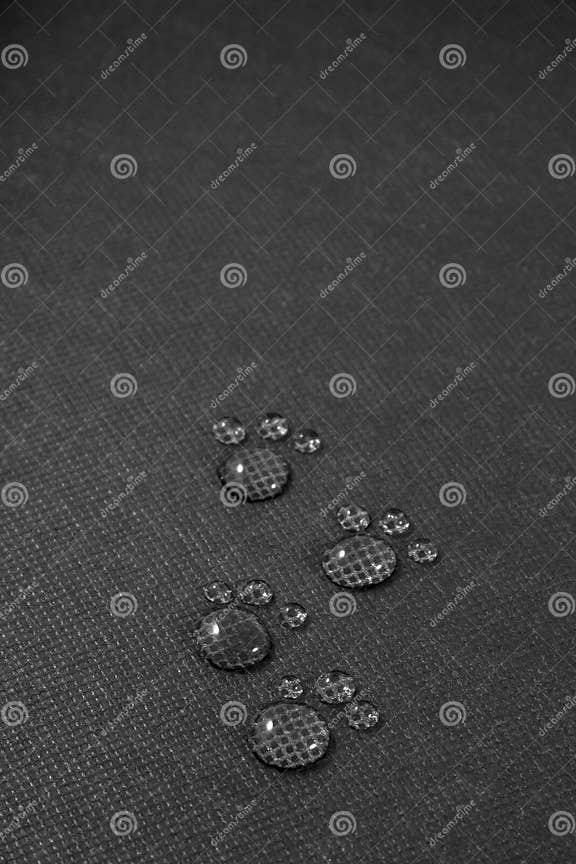 Four Small Water Footprints Stock Photo - Image of drop, water: 74532514