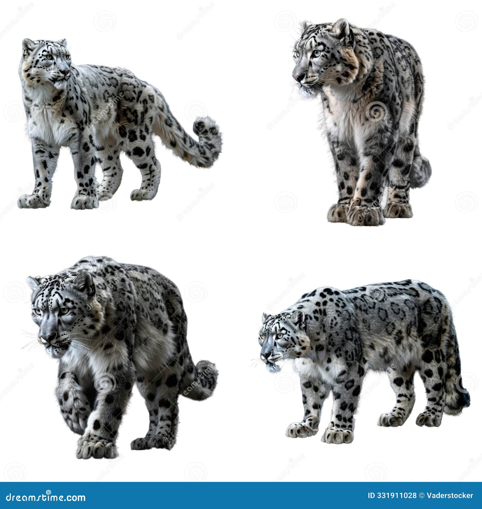 Snow Leopards - Vector Sport Emblem | CartoonDealer.com #80596980