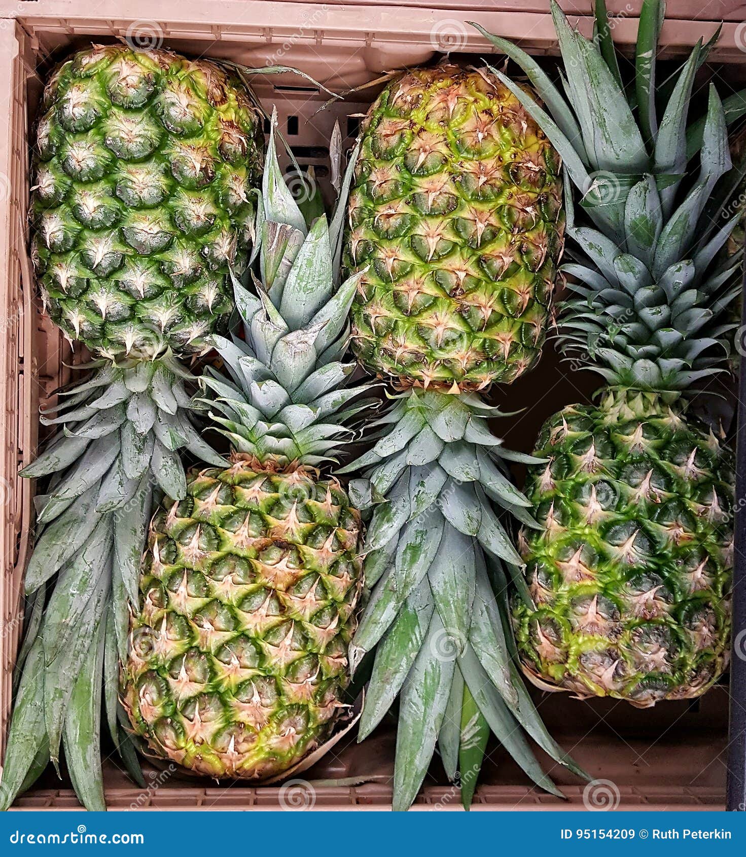 Four Stacked Pineapples stock image. Image of ripe, pineapple - 95154209