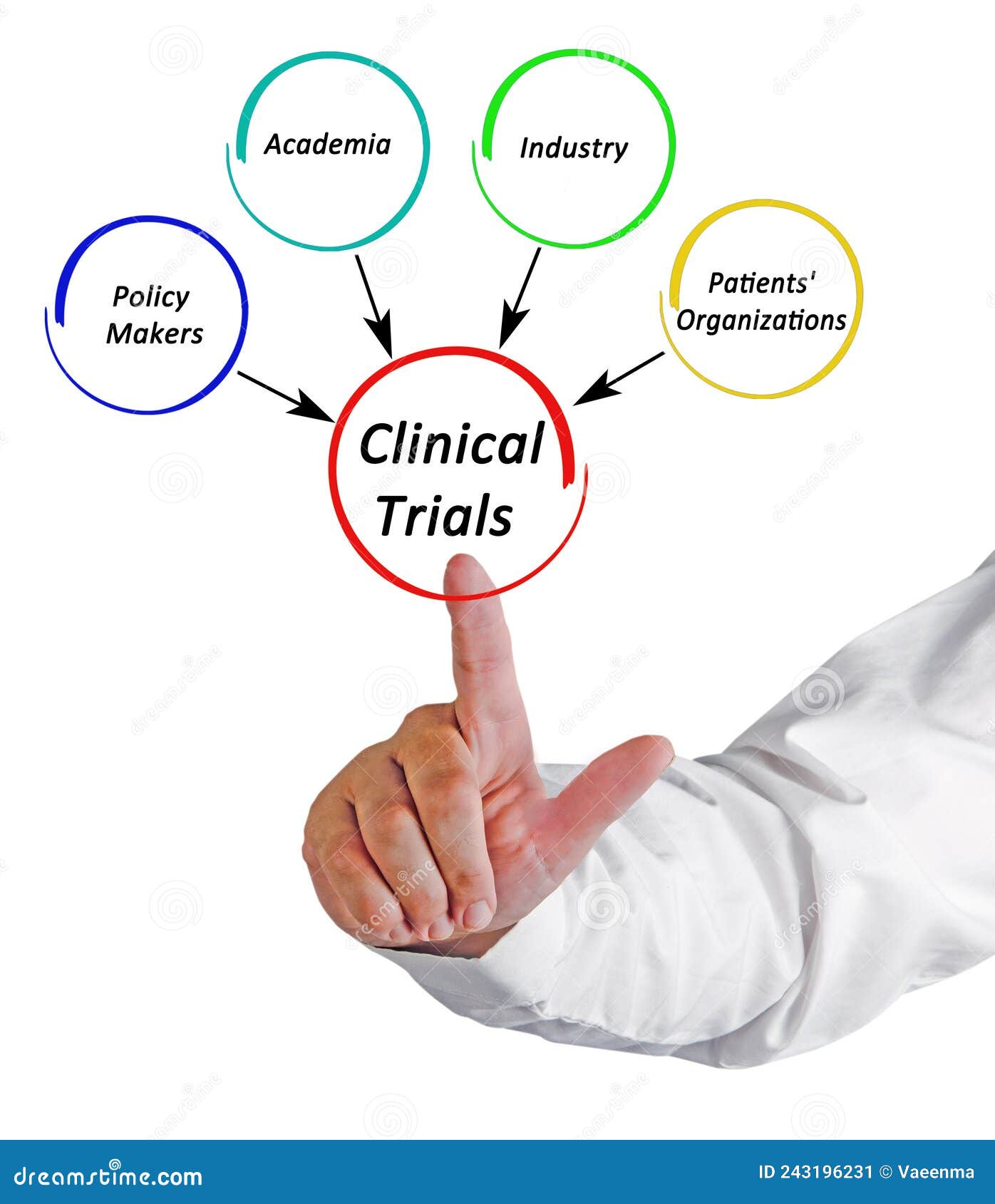 Stakeholders in Clinical Trials Stock Image - Image of hand, clinical ...