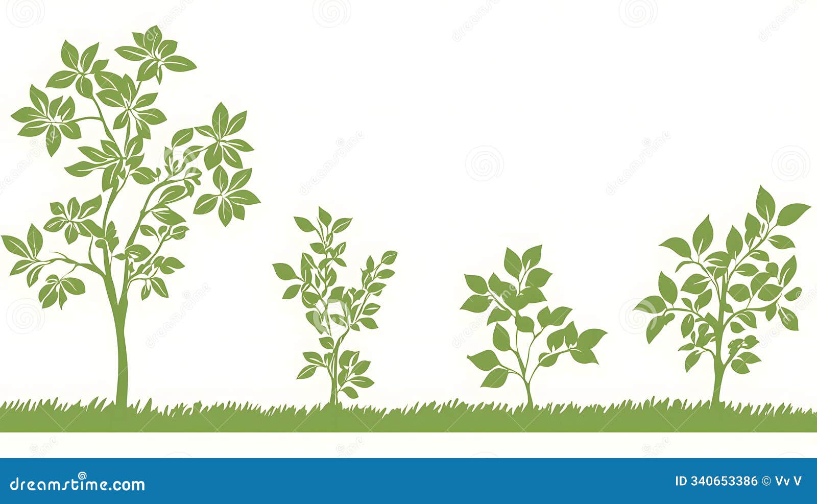 Four Stages of Green Plant Growth Illustration Stock Illustration ...
