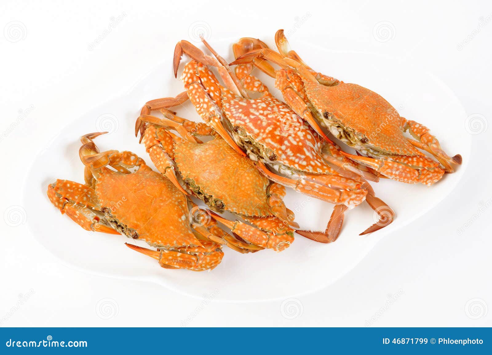 Four steamed crab stock image. Image of cook, aquatic - 46871799