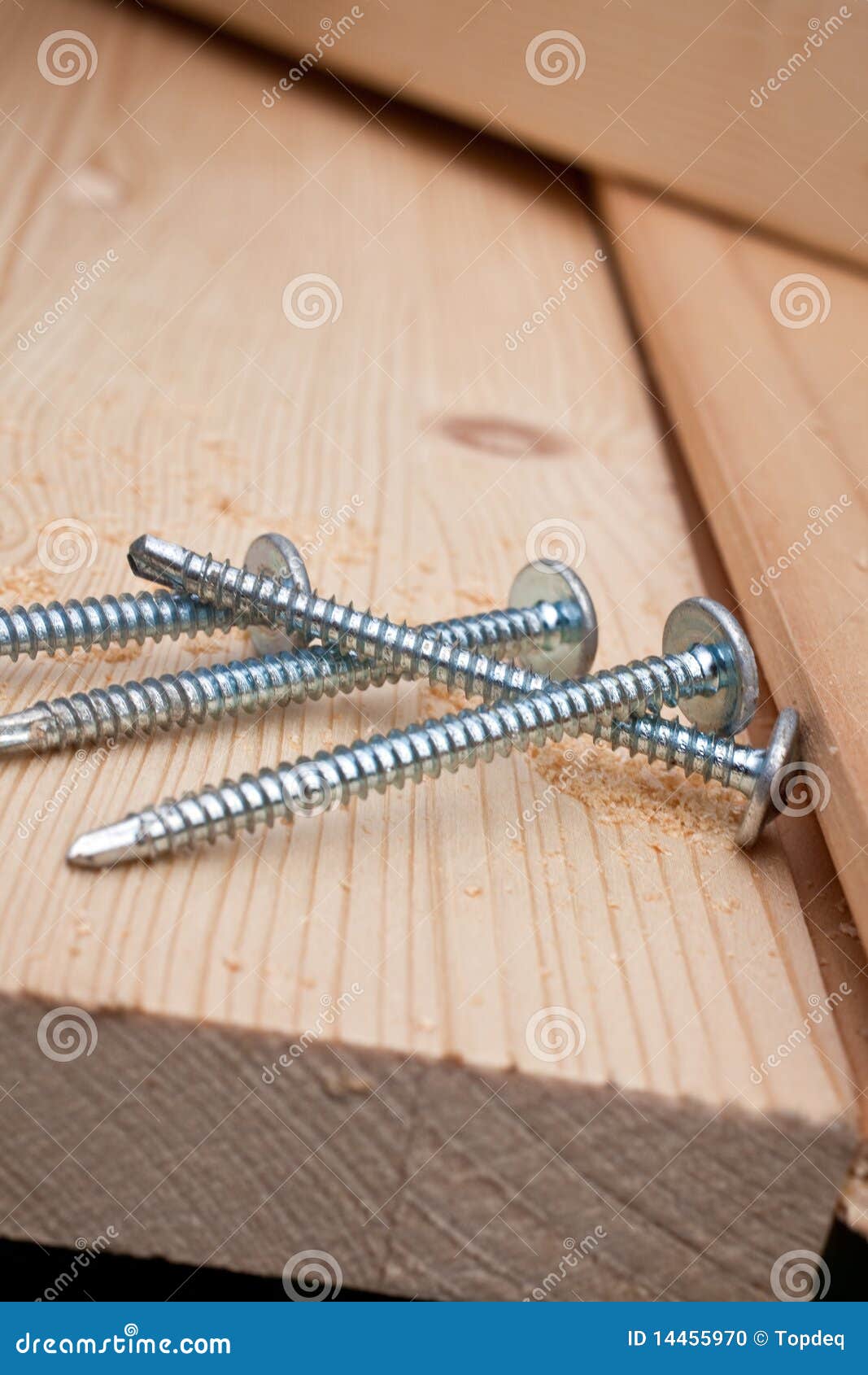 Four Steel Screws on a Wooden Plank Stock Photo - Image of steel ...