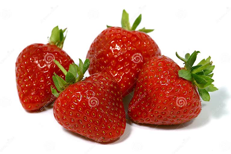 Four Strawberries stock photo. Image of moist, strawberry - 1432116