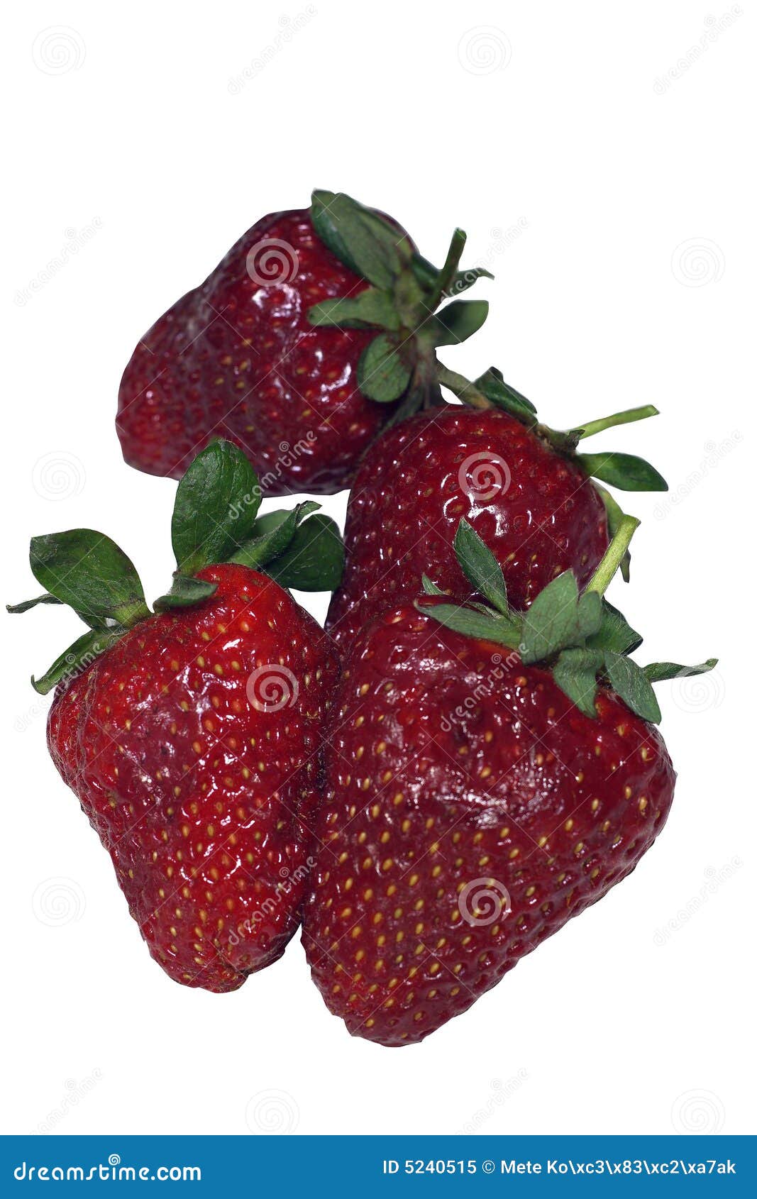 Four Strawberries stock image. Image of harvested, tasty - 5240515