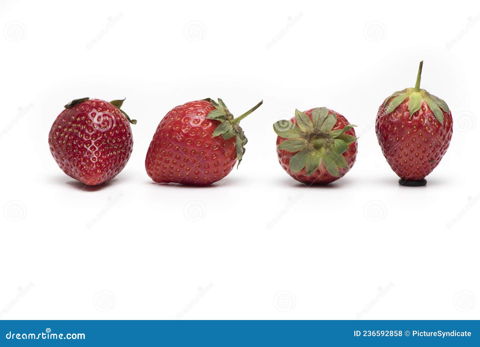 Four Strawberries from Different Views White Background Stock Photo ...