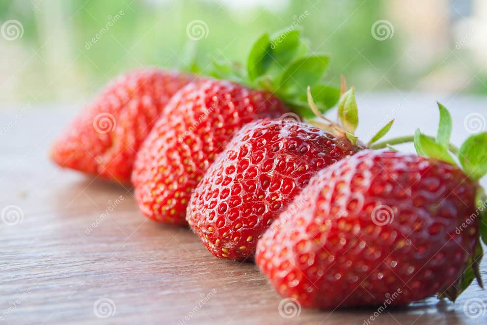 Four strawberries in a row stock photo. Image of seasonal - 73074084