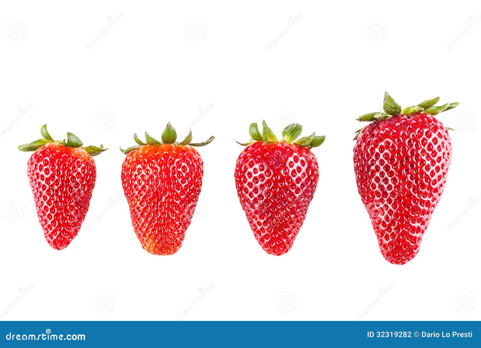 Four Strawberries stock photo. Image of healthy, leaf - 32319282