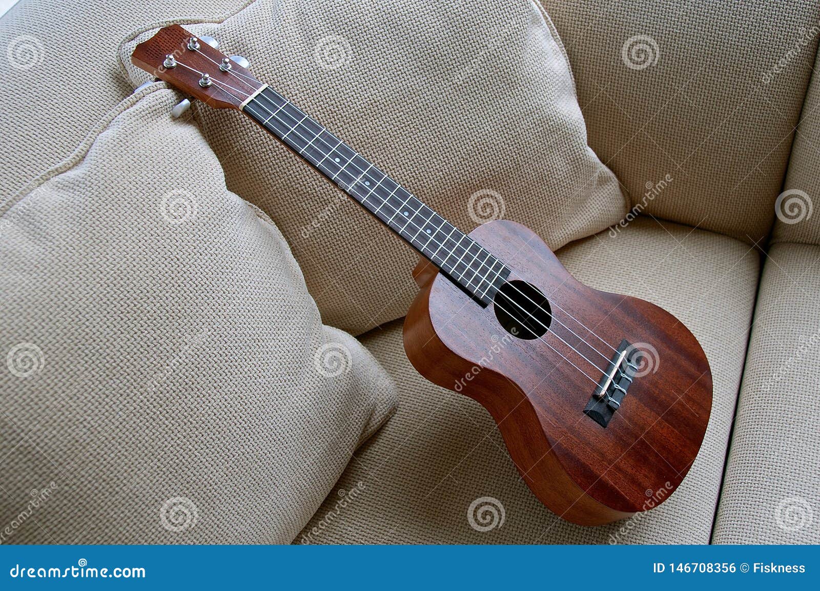 Wooden Ukulele Front View 3D Royalty-Free Illustration | CartoonDealer ...