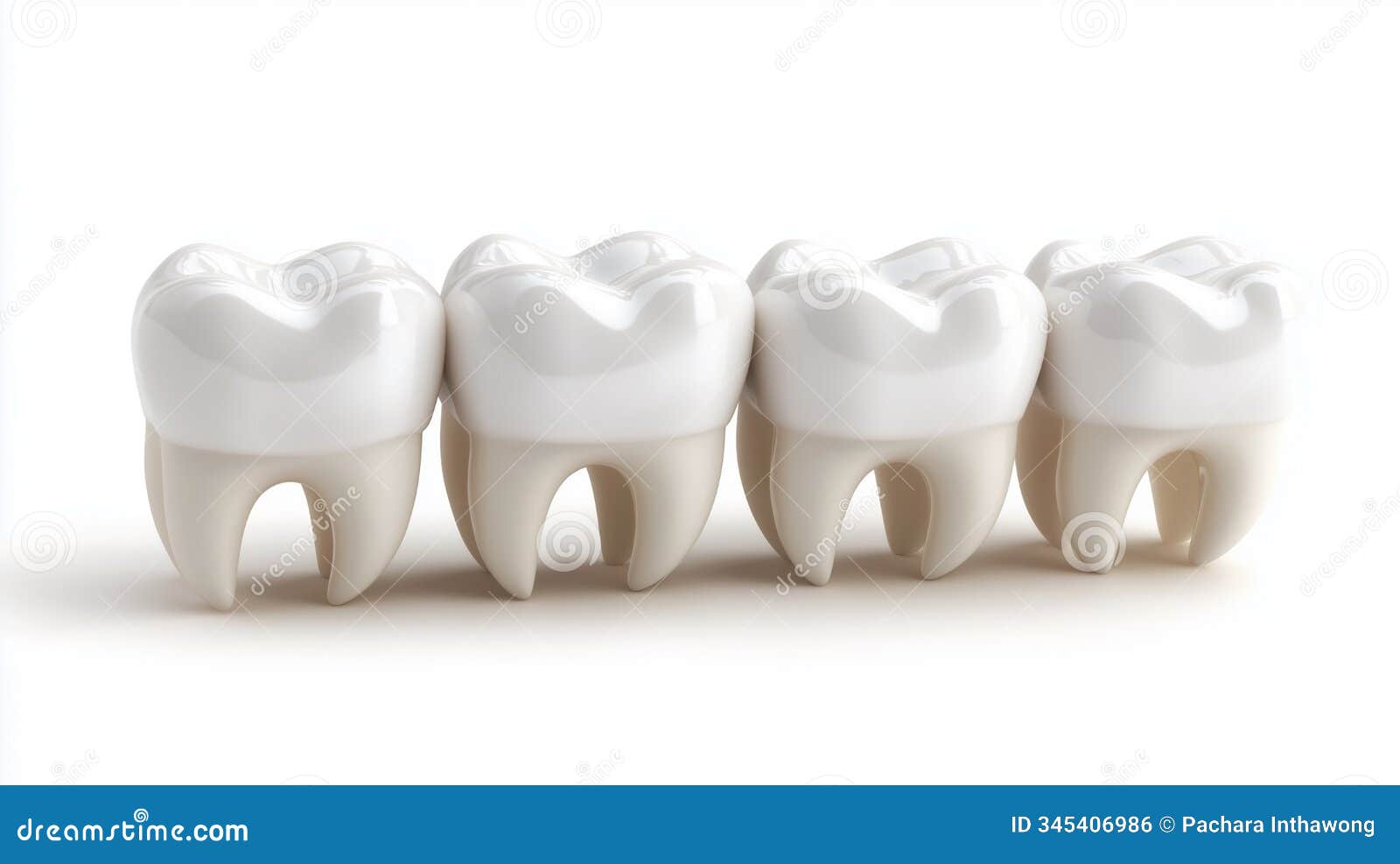 Four Teeth are Shown in a Row Stock Illustration - Illustration of ...