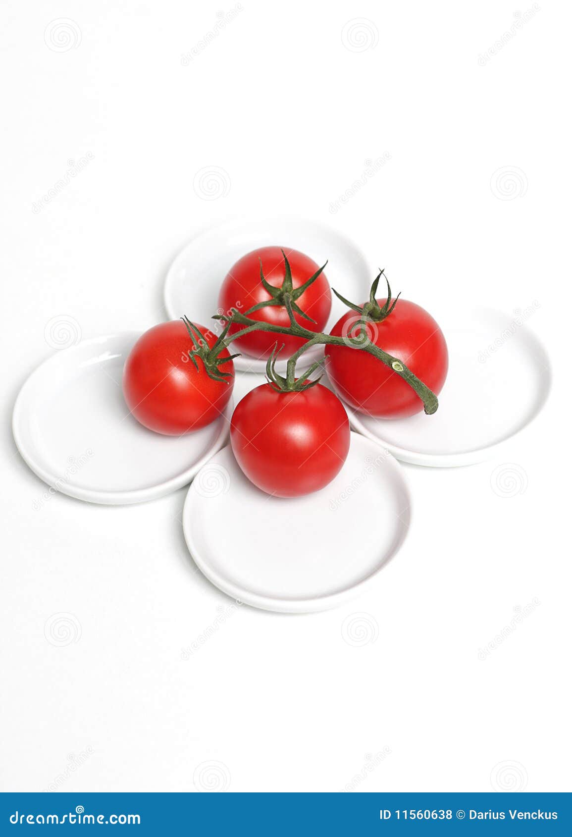 Four tomatoes stock photo. Image of organic, white, vegetable - 11560638