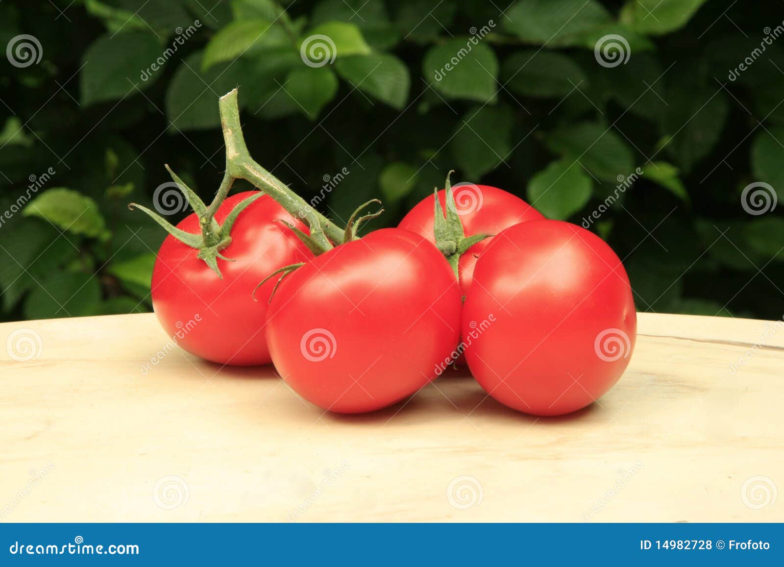 Four tomatoes stock photo. Image of sustenance, groceries - 14982728