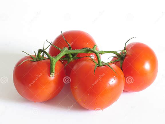 Four Tomatoes stock photo. Image of dessert, food, meal - 18698