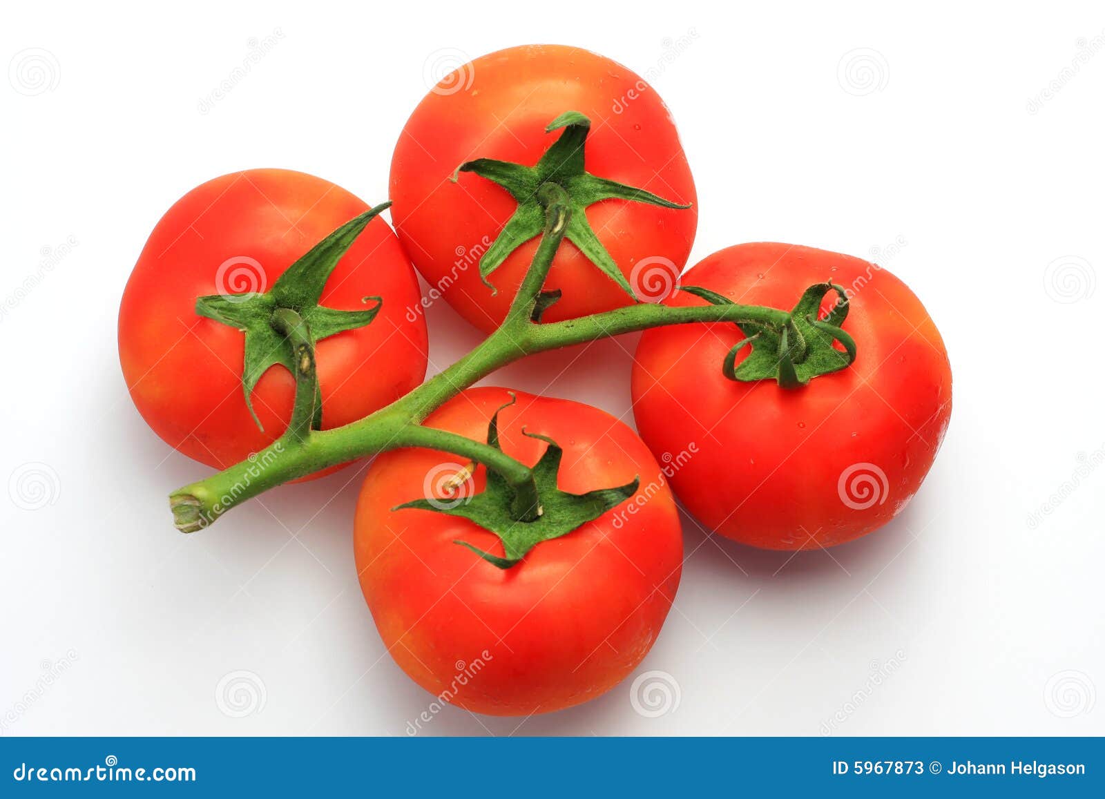 Four tomatoes stock image. Image of tomatoes, nature, seasonal - 5967873