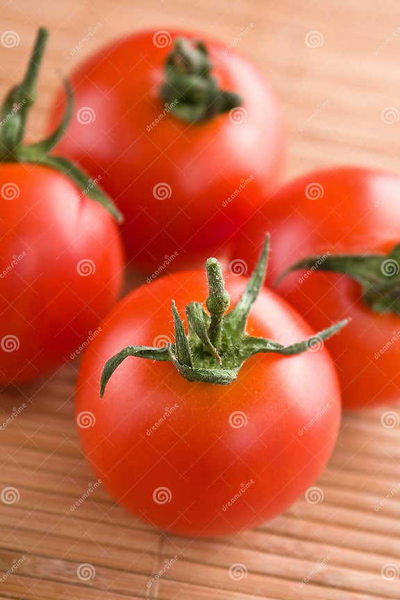 Four tomatoes stock photo. Image of meal, bright, color - 9595674