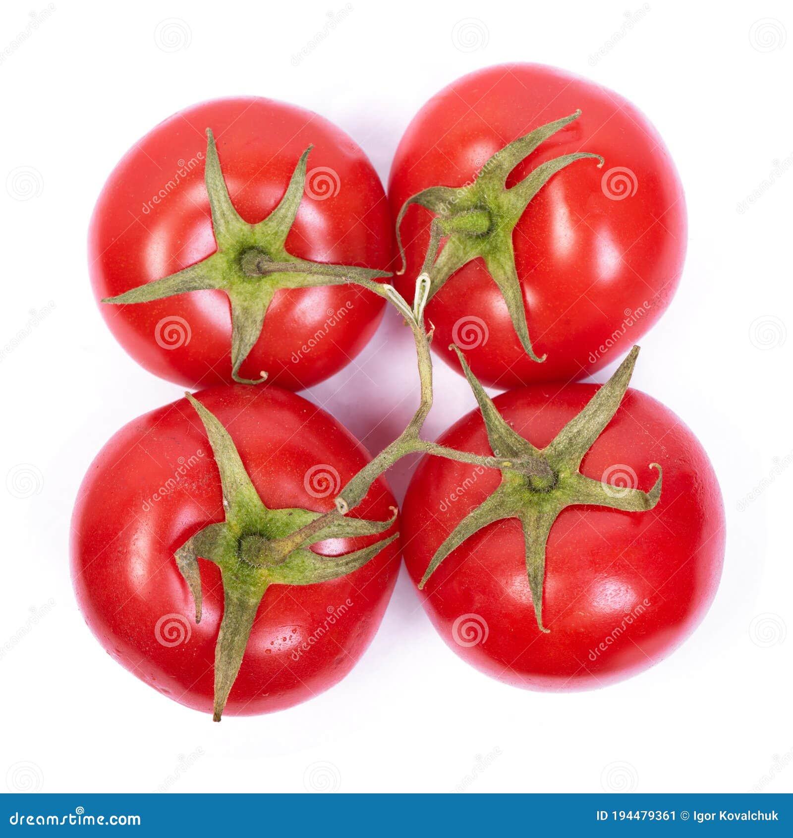 Four tomatoes on a branch stock image. Image of crop - 194479361