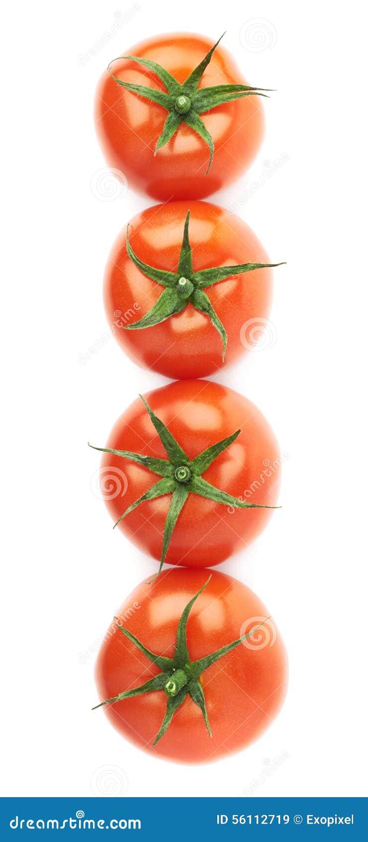 Four Tomatoes in a Line Isolated Stock Image - Image of healthy ...