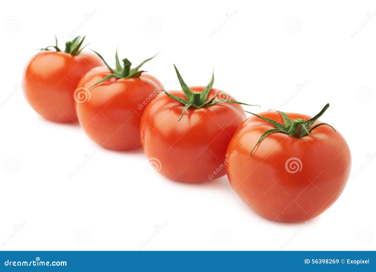 Four Tomatoes in a Line Isolated Stock Image - Image of background ...