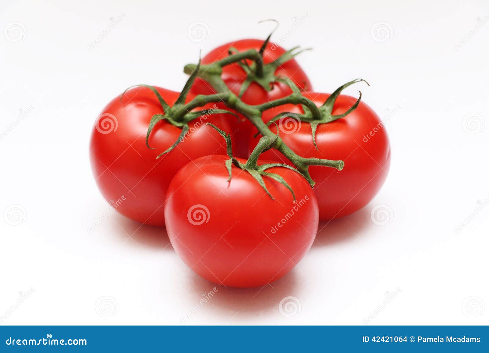 Four Tomatoes on a Vine stock photo. Image of ingredient - 42421064