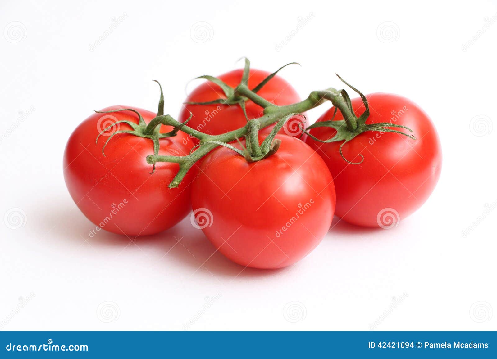 Four Tomatoes on a Vine 2 stock photo. Image of green - 42421094